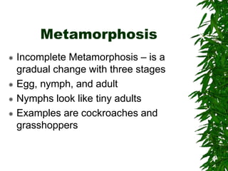 Chapter 26 notes Arthropods.ppt