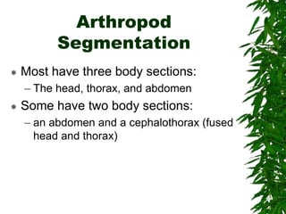 Chapter 26 notes Arthropods.ppt