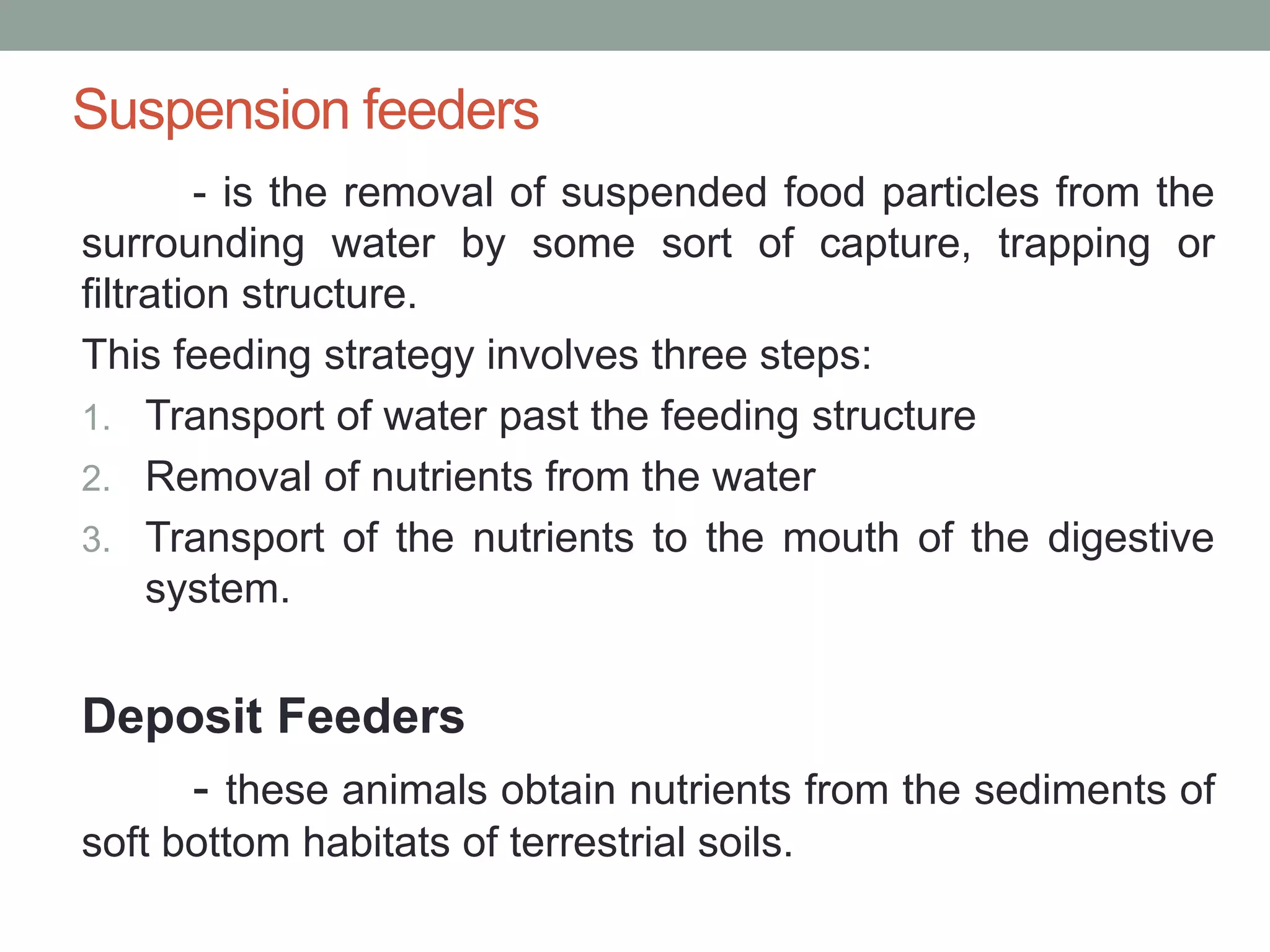 Chapter 27 Nutrition and Digestion | PPTX