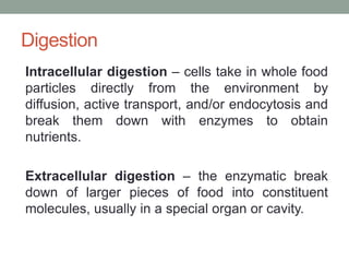 Chapter 27 Nutrition and Digestion | PPTX