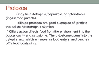 Chapter 27 Nutrition and Digestion | PPTX