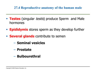 Chapter 27 reproduction [compatibility mode] | PPT