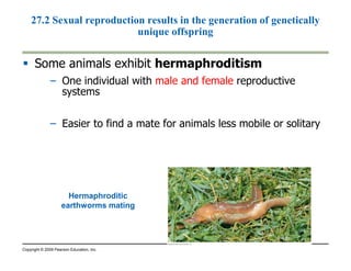 Chapter 27 reproduction [compatibility mode] | PPT