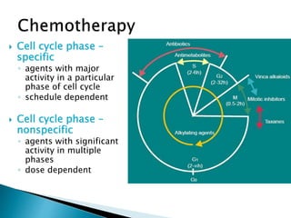 Chapter 27 chemotherapy side effects dr lms | PPTX