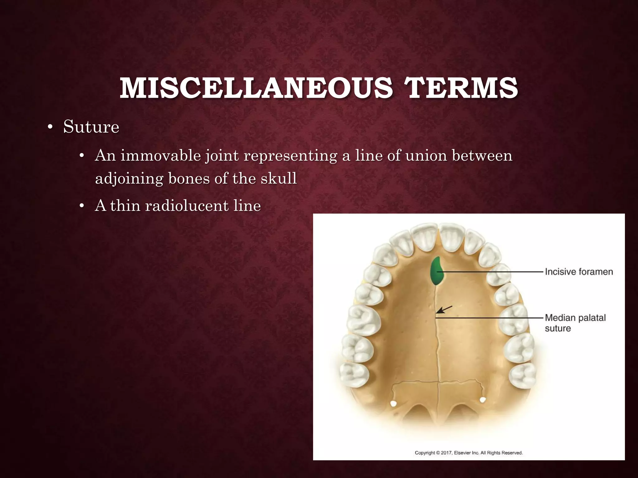 Chapter 27:Normal Anatomy: Intraoral Images | PPTX