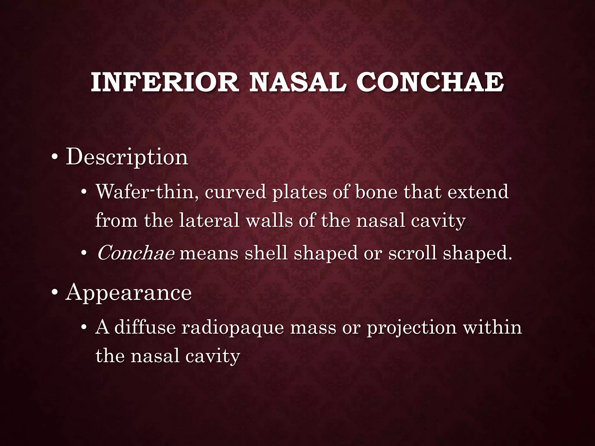Chapter 27:Normal Anatomy: Intraoral Images | PPTX