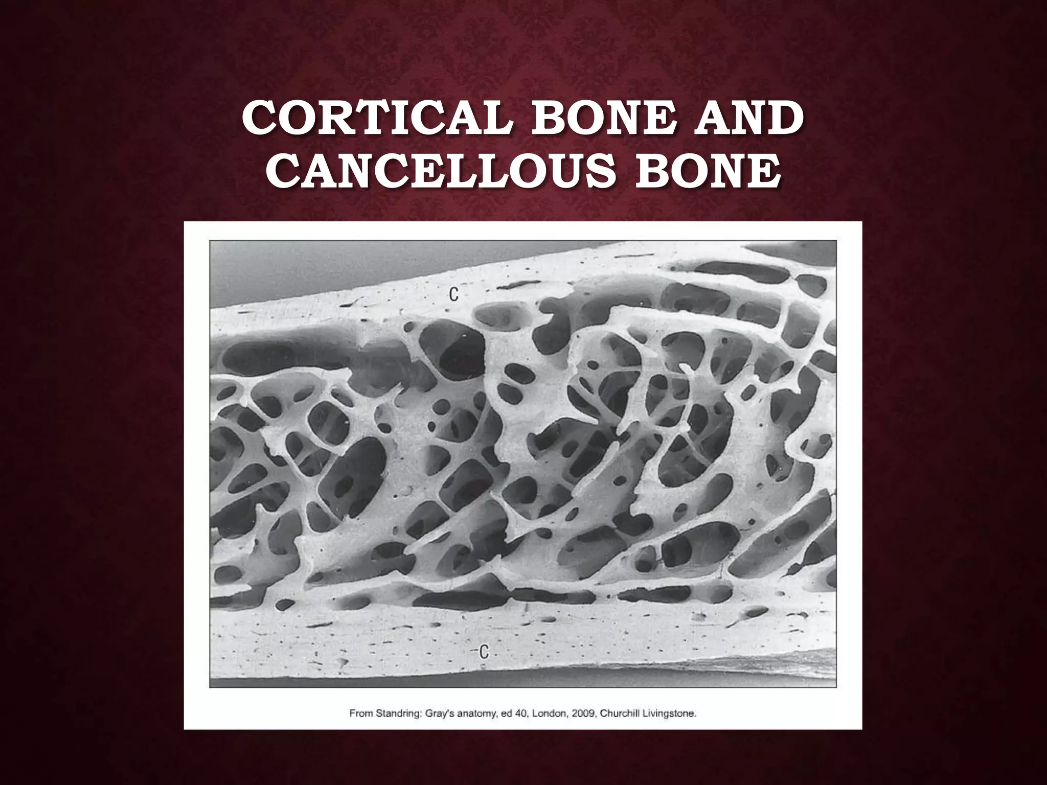 Chapter 27:Normal Anatomy: Intraoral Images | PPTX