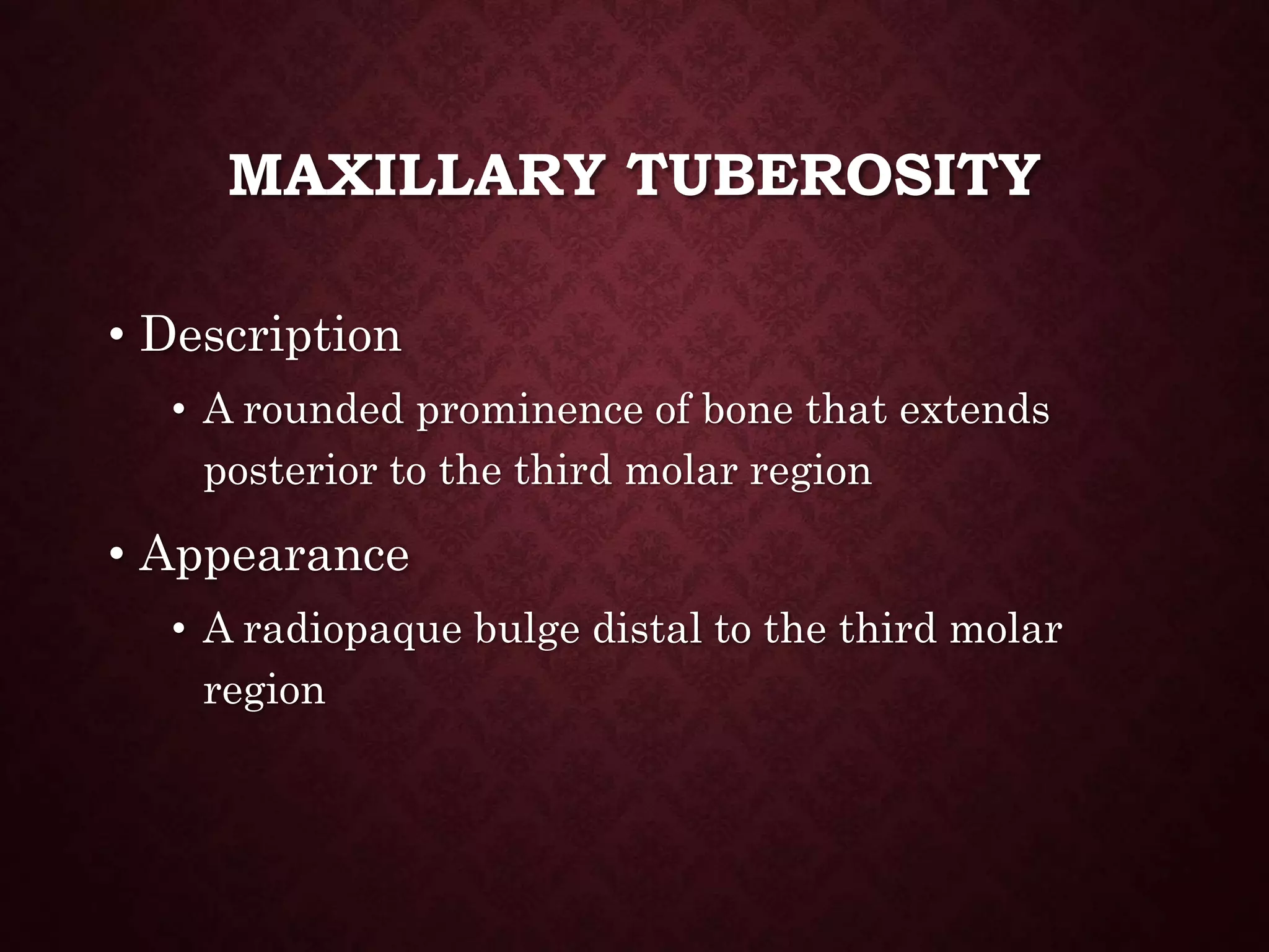 Chapter 27:Normal Anatomy: Intraoral Images | PPTX