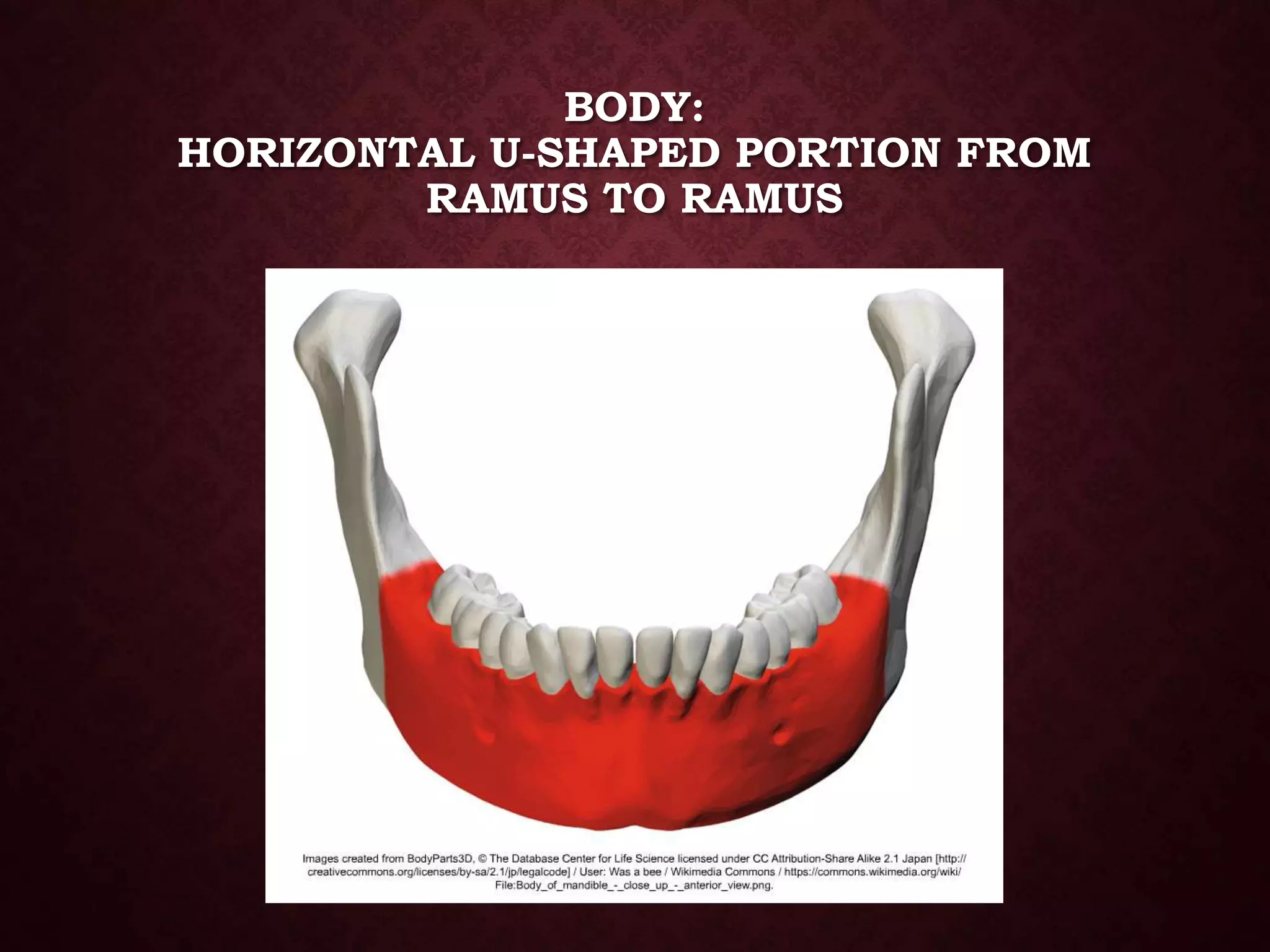 Chapter 27:Normal Anatomy: Intraoral Images | PPTX