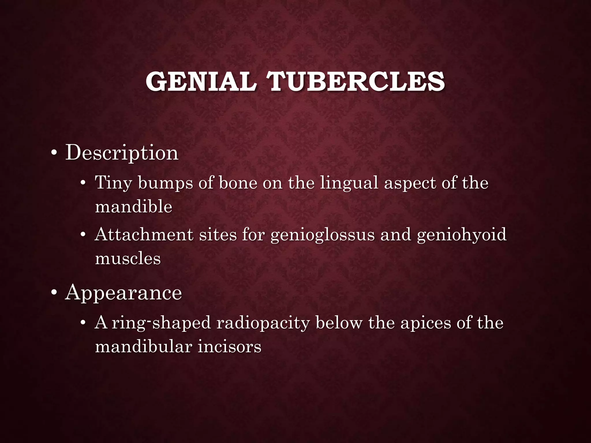 Chapter 27:Normal Anatomy: Intraoral Images | PPTX