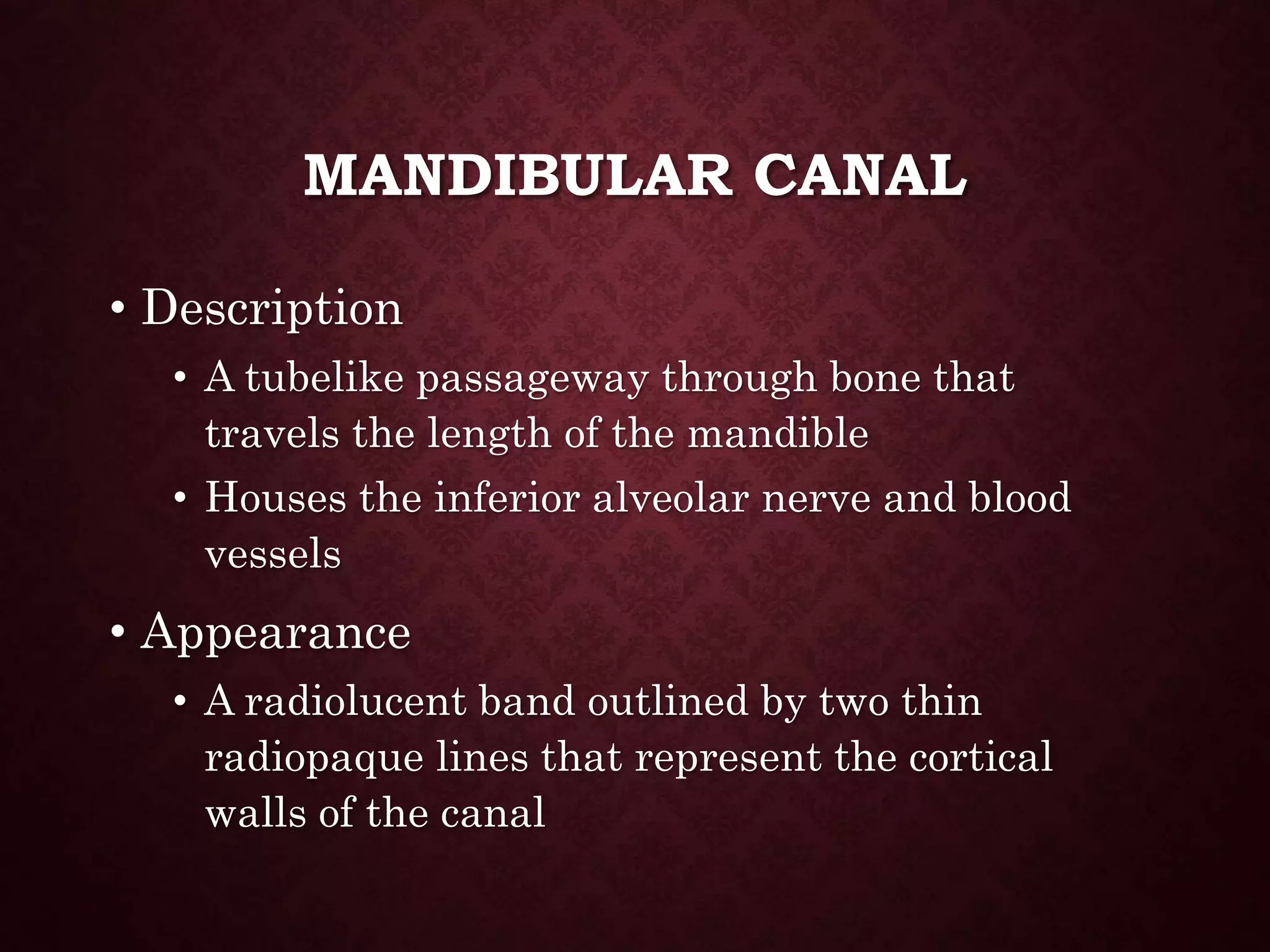 Chapter 27:Normal Anatomy: Intraoral Images | PPTX