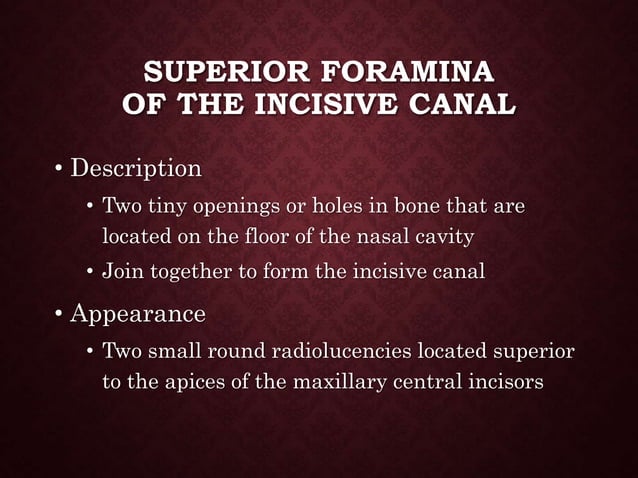Chapter 27:Normal Anatomy: Intraoral Images | PPT