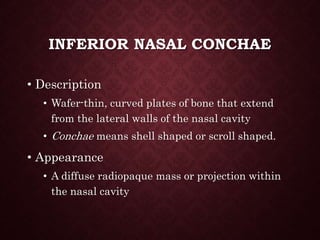 Chapter 27:Normal Anatomy: Intraoral Images | PPTX
