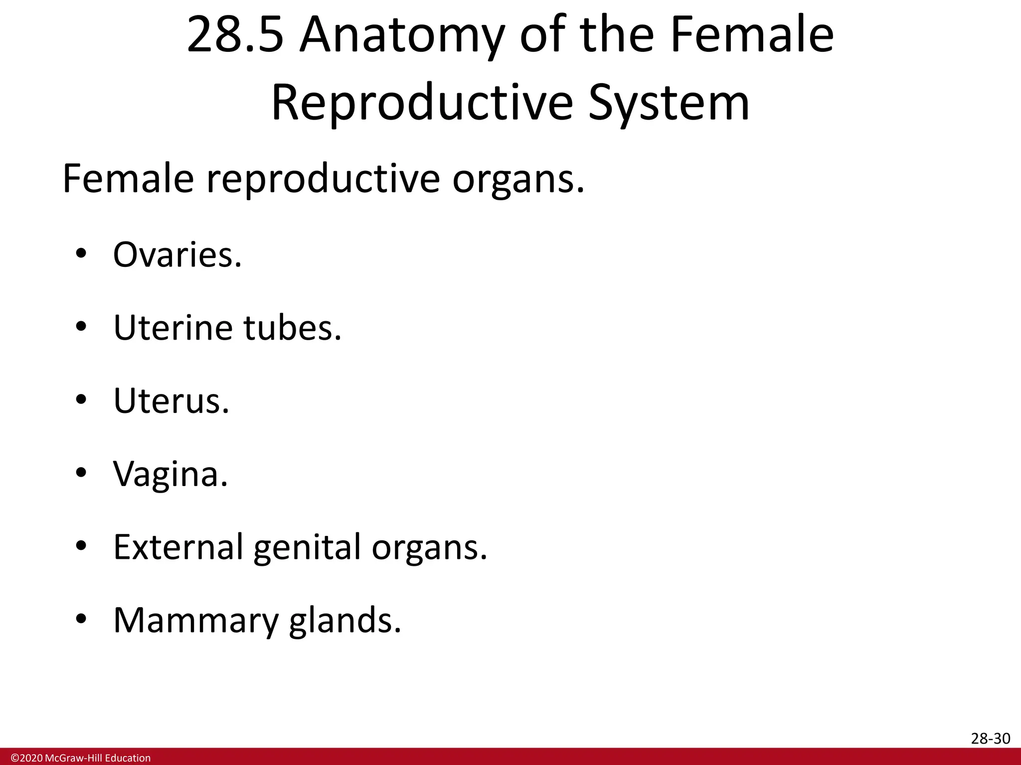 chapter 28 Reproductive System Power Point | PPTX