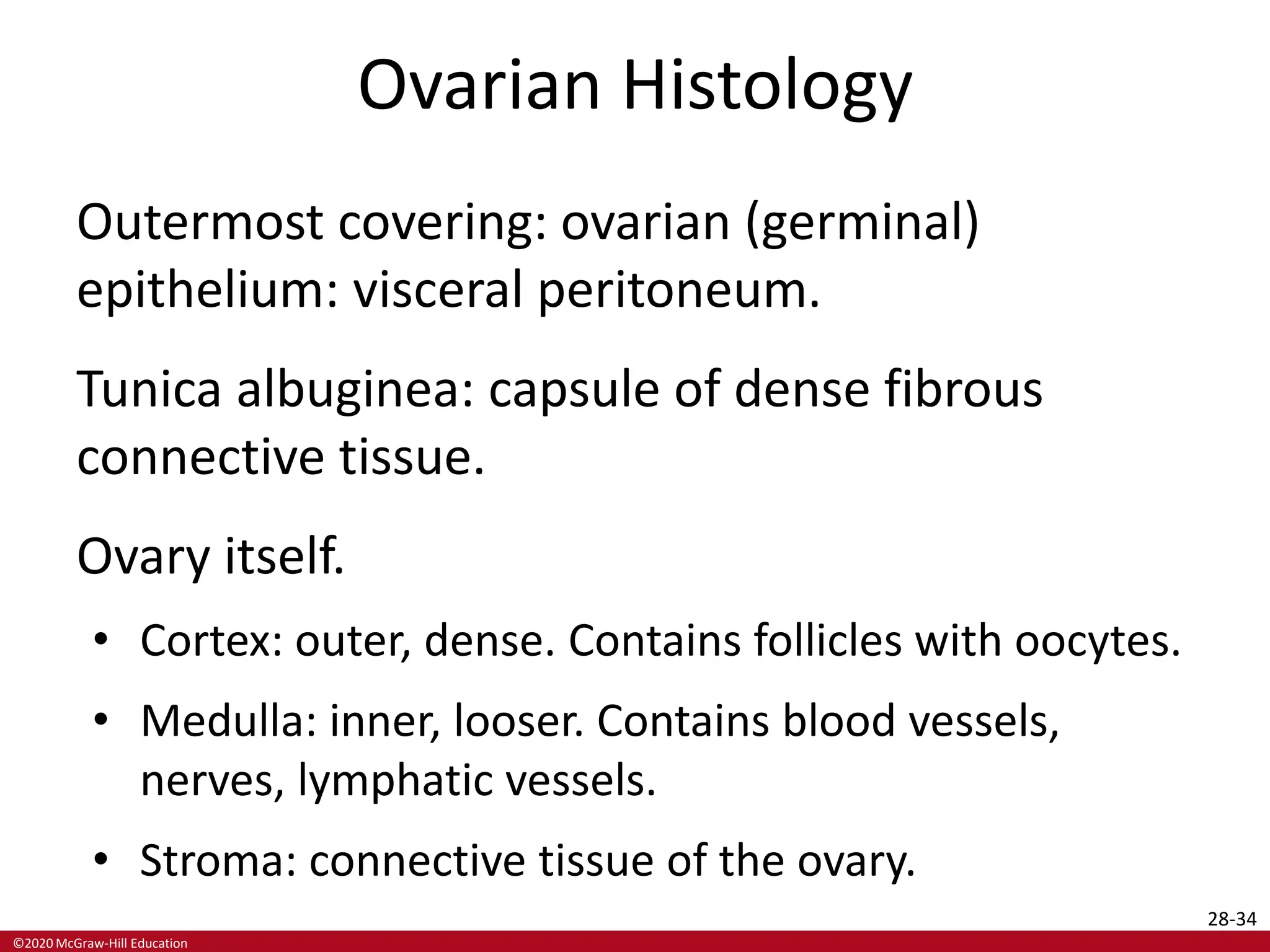 chapter 28 Reproductive System Power Point | PPTX