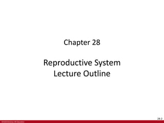 chapter 28 Reproductive System Power Point | PPTX