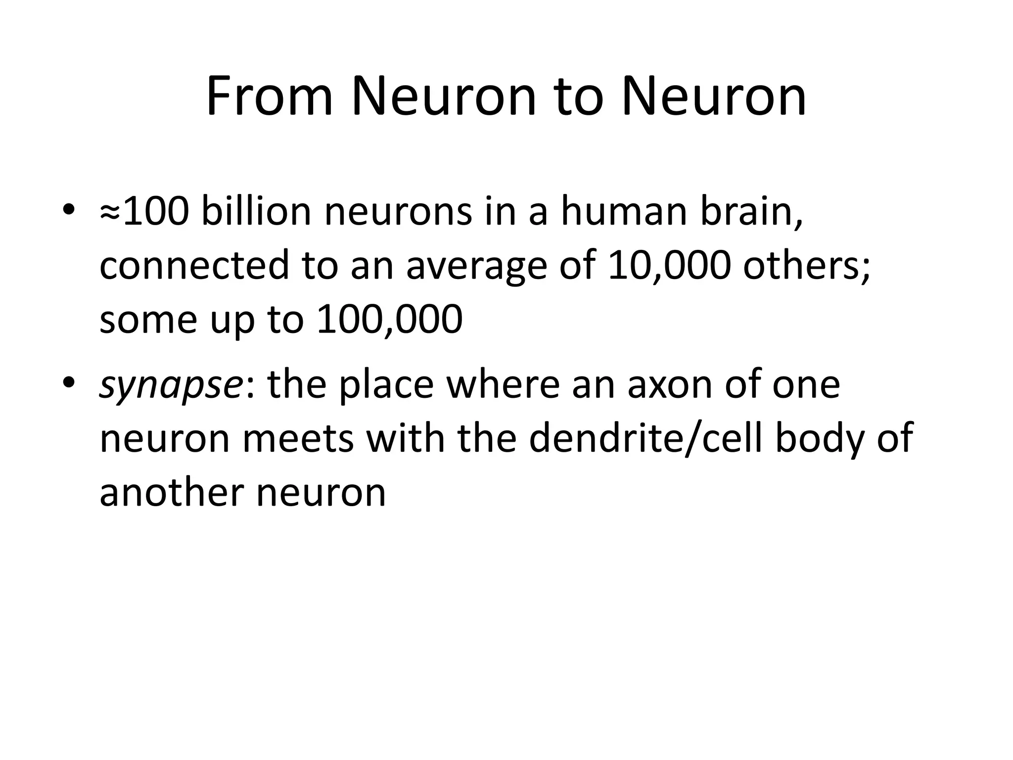 Chapter 28 Intro notes about Neurons 2016 to be used first.pptx
