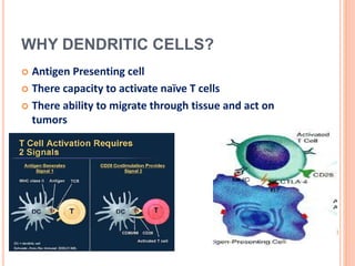 Chapter 29 dendritic cells | PPTX