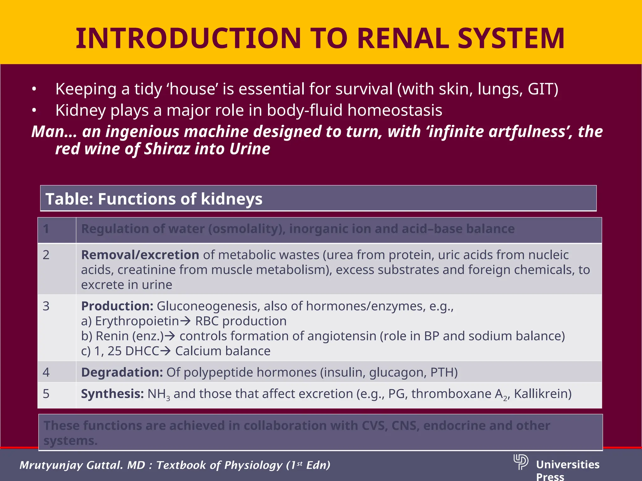 Chapter29 Overview of Renal System OF MEDICAL STUDENTS.ppt