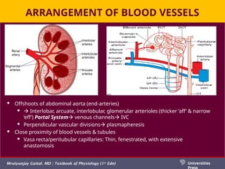Chapter29 Overview of Renal System OF MEDICAL STUDENTS.ppt