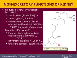 Chapter29 Overview of Renal System OF MEDICAL STUDENTS.ppt