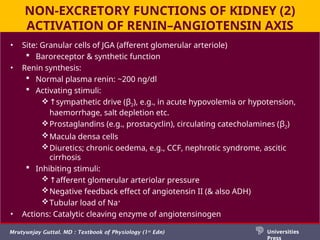 Chapter29 Overview of Renal System OF MEDICAL STUDENTS.ppt