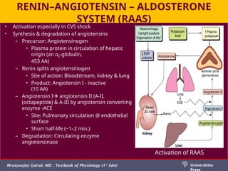 Chapter29 Overview of Renal System OF MEDICAL STUDENTS.ppt