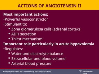 Chapter29 Overview of Renal System OF MEDICAL STUDENTS.ppt