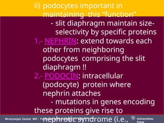 Chapter29 Overview of Renal System OF MEDICAL STUDENTS.ppt