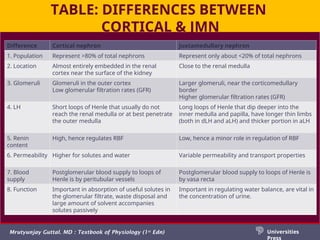 Chapter29 Overview of Renal System OF MEDICAL STUDENTS.ppt