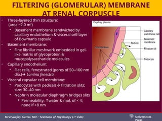 Chapter29 Overview of Renal System OF MEDICAL STUDENTS.ppt