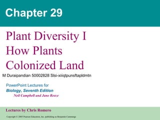 Chapter29 plant diversiy i | PPT