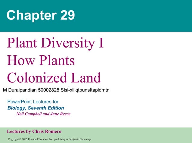Chapter29 plant diversiy i | PPT