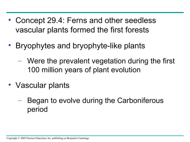 Chapter29 plant diversiy i | PPT