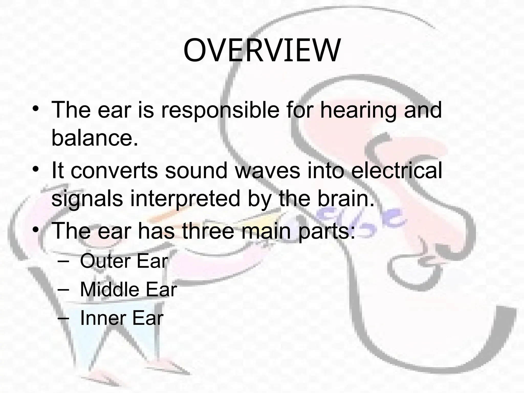 CHAPTER 2 ANATOMY AND PHYSIOLOGY OF EAR.pptx