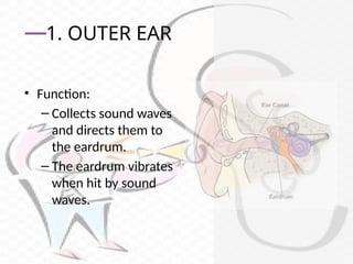 CHAPTER 2 ANATOMY AND PHYSIOLOGY OF EAR.pptx