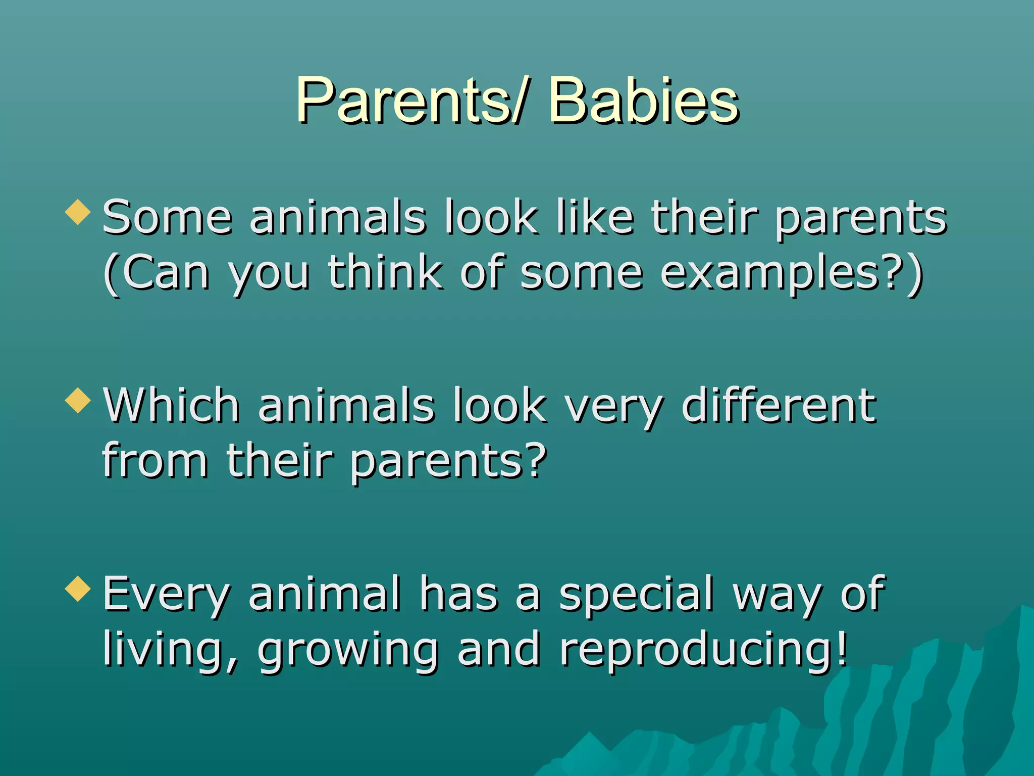 Chapter 2 Animals Where they live and How they get food | PPT