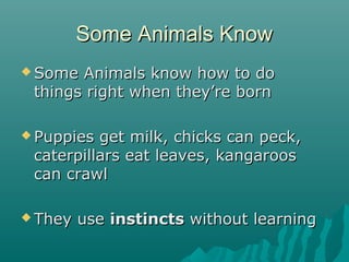 Chapter 2 Animals Where they live and How they get food | PPT
