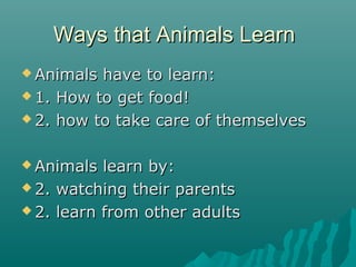 Chapter 2 Animals Where they live and How they get food | PPT