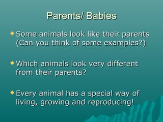 Chapter 2 Animals Where they live and How they get food | PPT