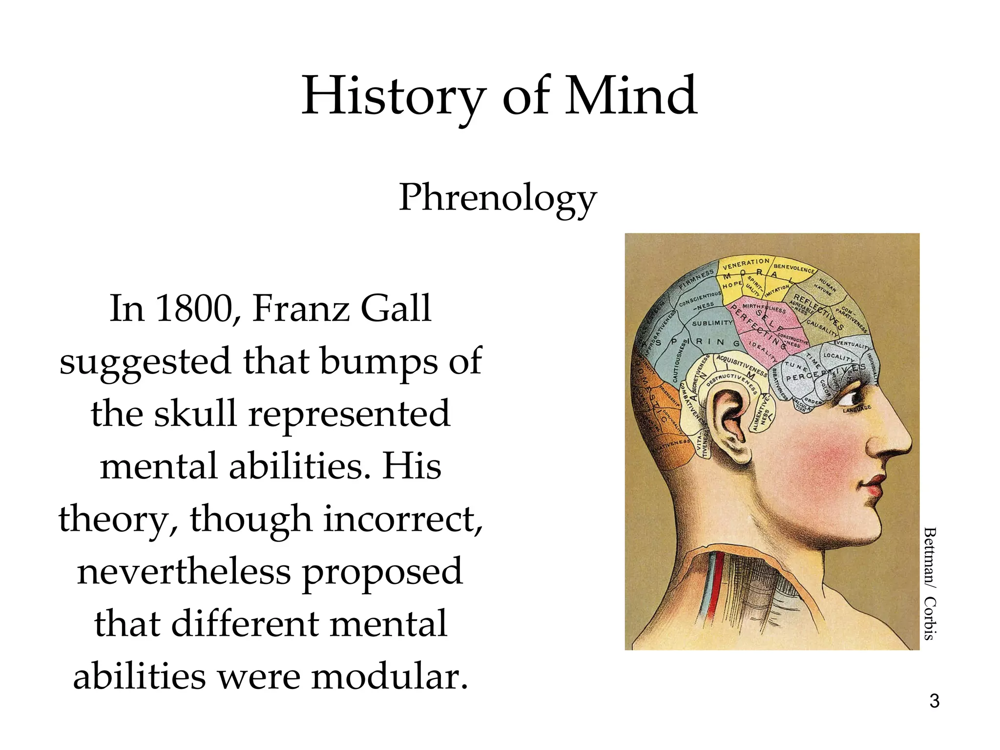 Chapter 2 Ap Psych- Brain & Behavior | PPT