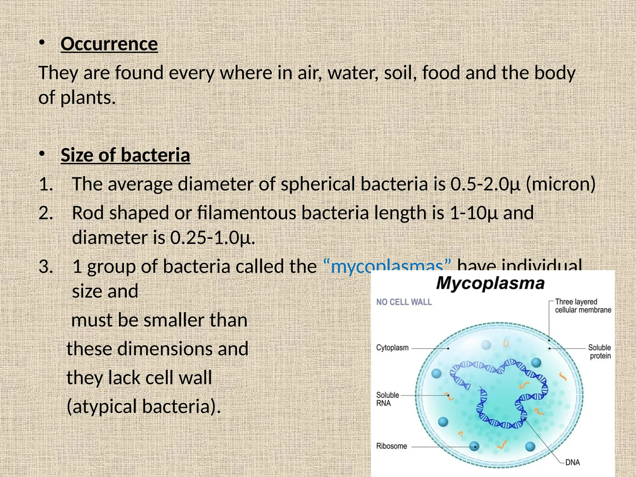 Chapter 2 bacteria shapes and classification.pptx