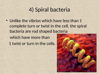 Chapter 2 bacteria shapes and classification.pptx