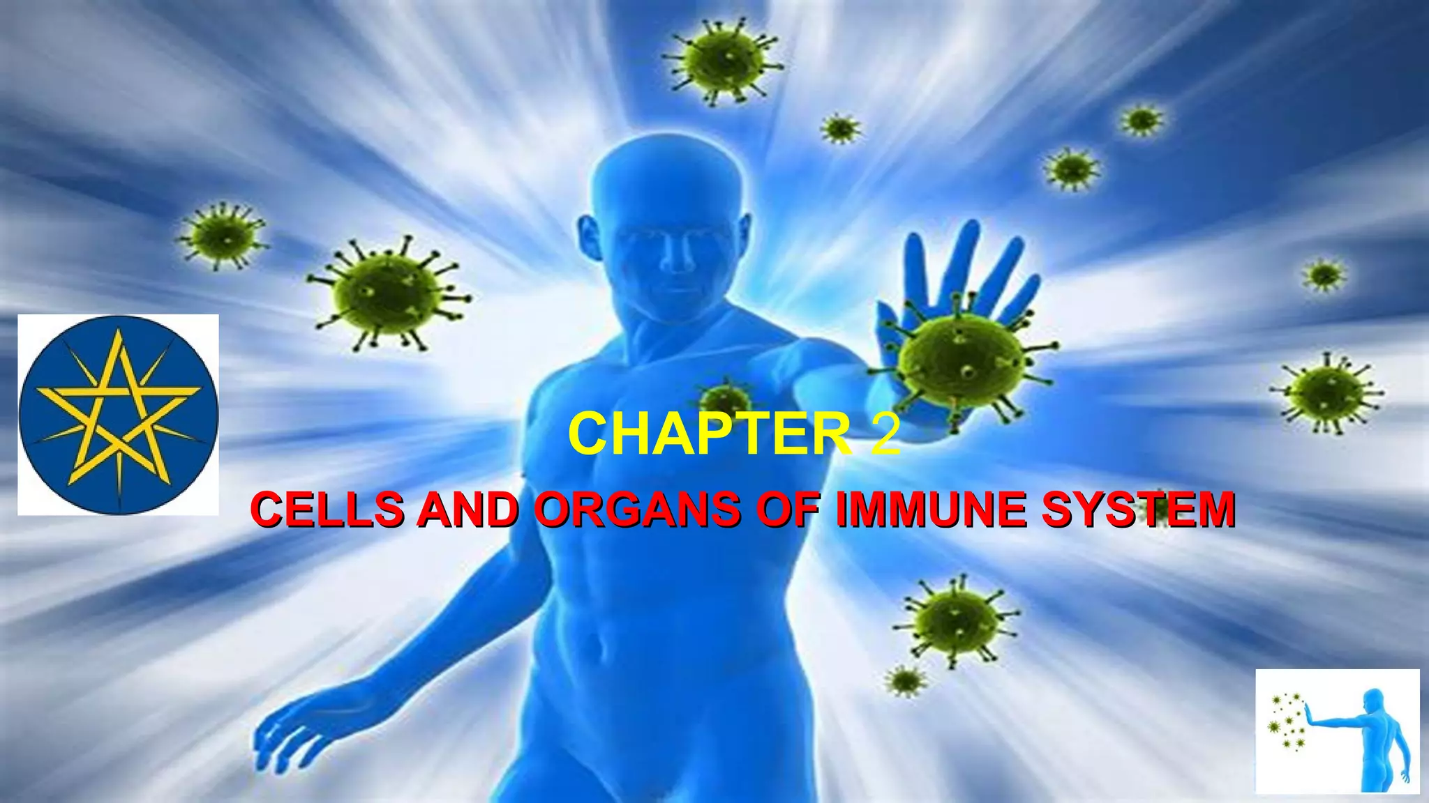 Chapter 2 Basic Immunology ( Cells & Organs) | PPT