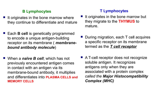 Chapter 2 Basic Immunology ( Cells & Organs) | PPT | Biological Sciences | Science
