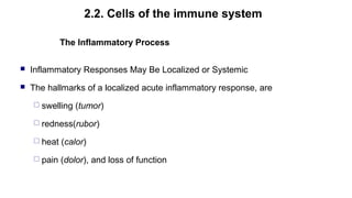 Chapter 2 Basic Immunology ( Cells & Organs) | PPT