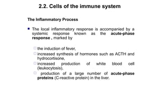Chapter 2 Basic Immunology ( Cells & Organs) | PPT