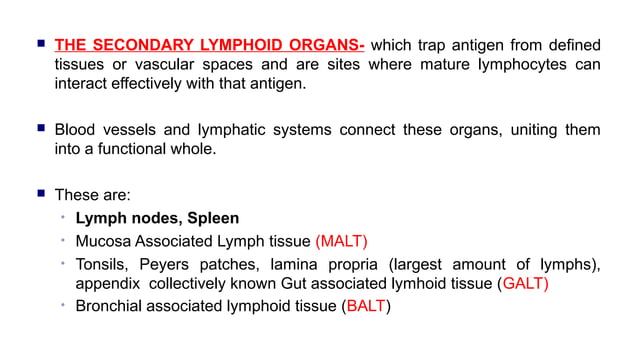Chapter 2 Basic Immunology ( Cells & Organs) | PPT | Biological Sciences | Science
