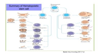 Chapter 2 Basic Immunology ( Cells & Organs) | PPT | Biological Sciences | Science