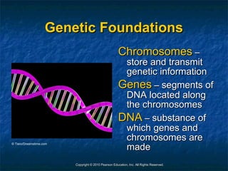 Chapter 2,berk.doc (1) | PPT